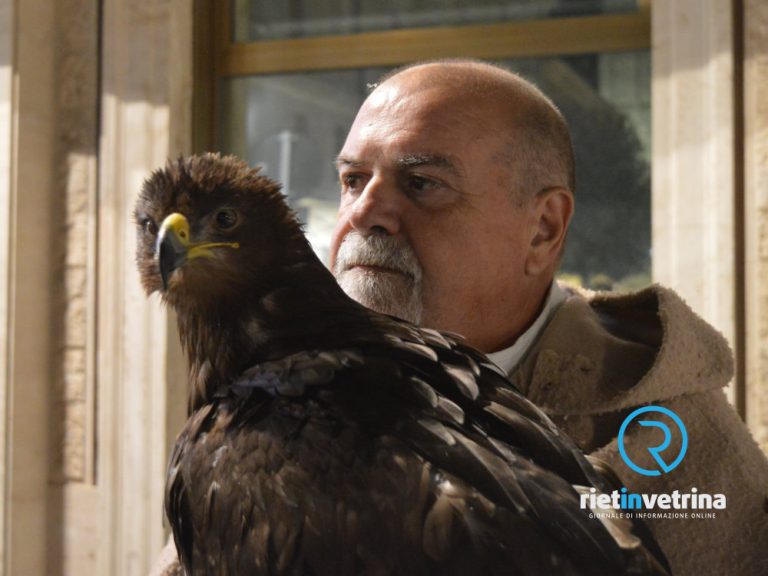Spettacolo de "I Falconieri del Re" a Rieti per San Domenico di Guzman ...